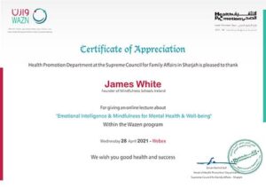 About - API Clinic Cork